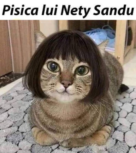 Bancuri cu animale
